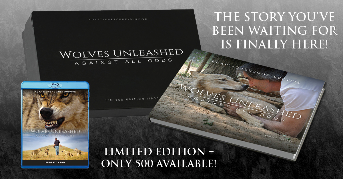 Wolves Unleashed